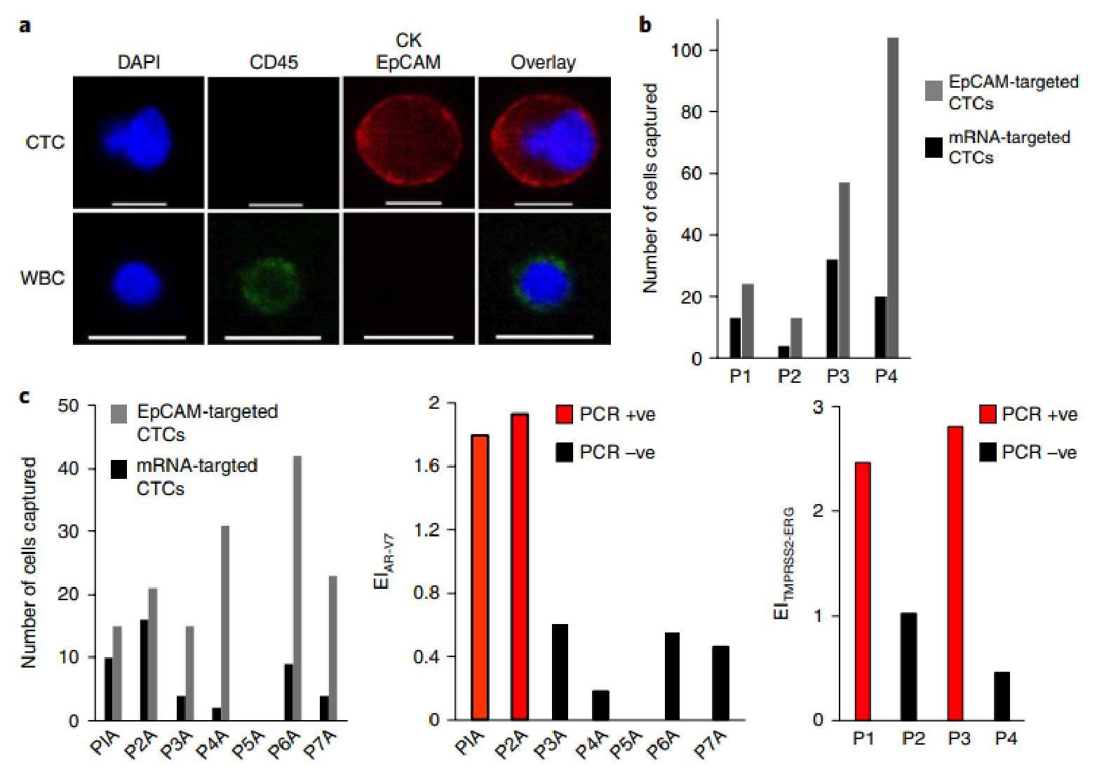 Single-cell mRNA cytometry via sequence-specific nanoparticle clustering and trapping - CADworks3D