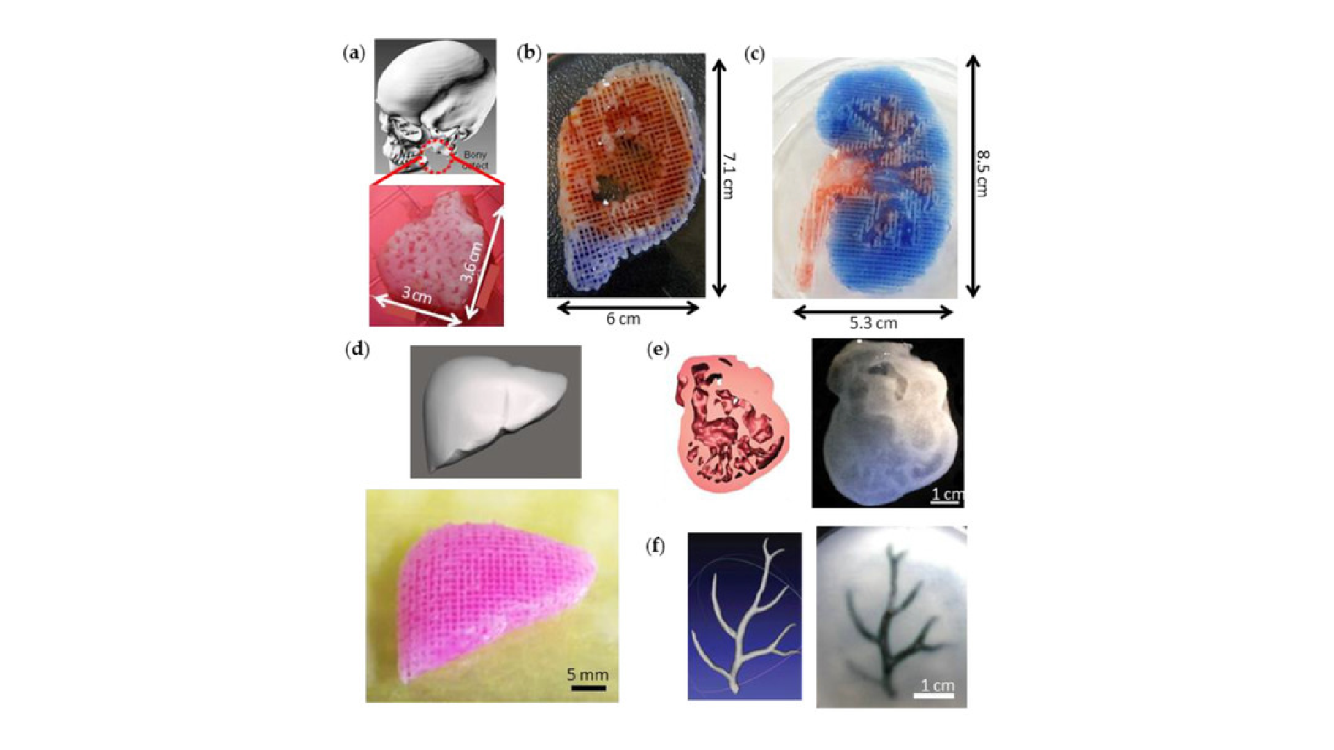 3D Printing of Organs-On-Chips - CADworks3D