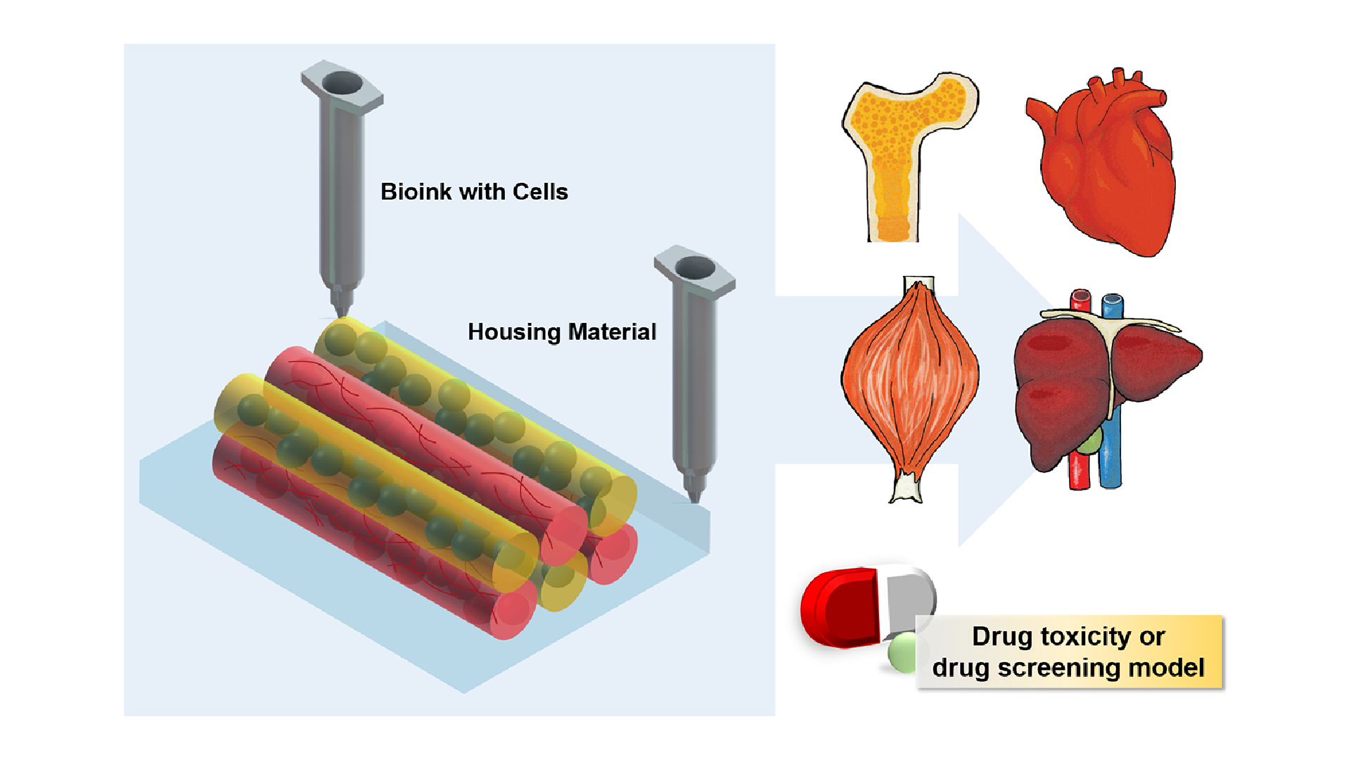 3D Printing of Organs-On-Chips - CADworks3D