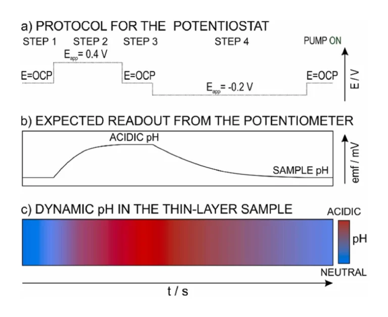 Reversible electrochemical pH modulation in thin-layer compartments ...